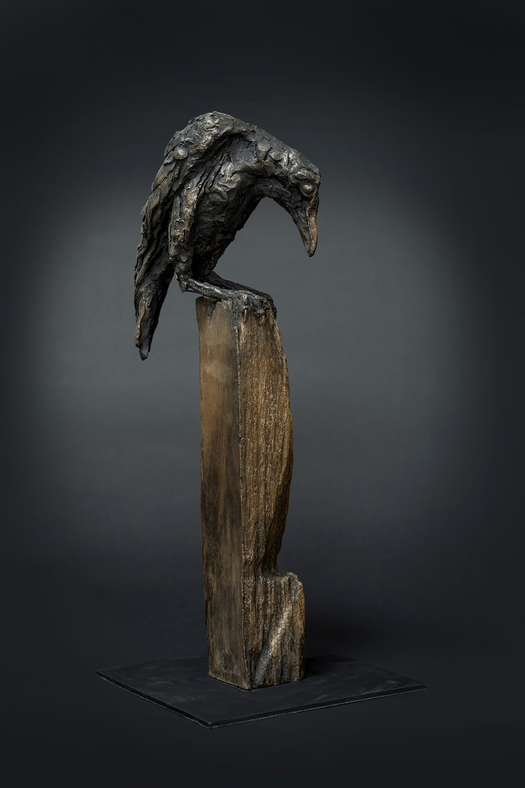 Raven Spirit by Kay Thomas - £3,300 - Cotswold Sculpture Park Ltd